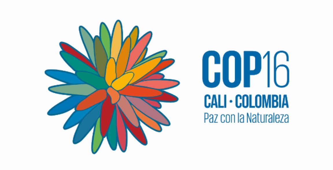CASA impulsa la inclusión de GEN en la COP 16, Colombia 2024 - Red CASA ...